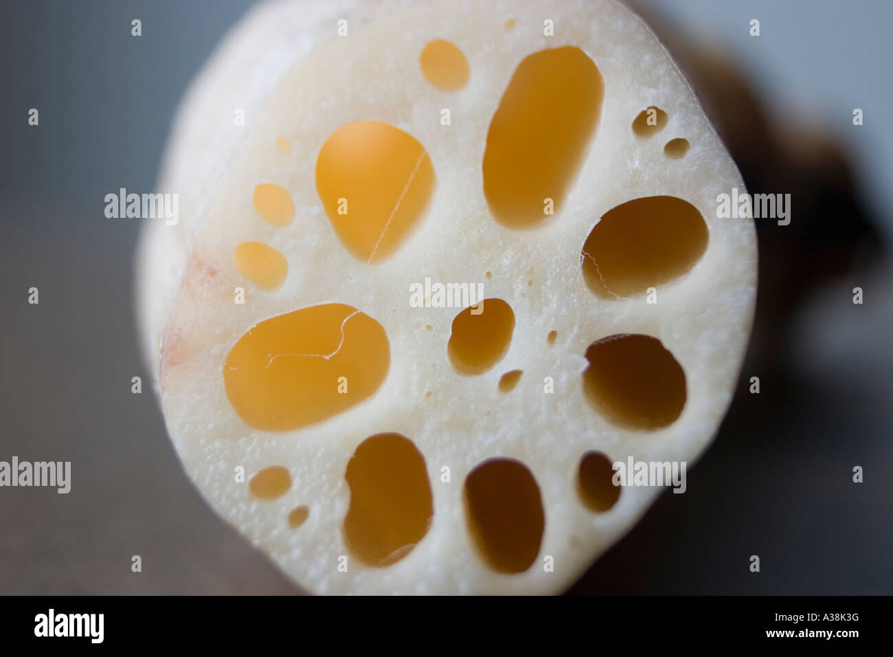The Asian vegetable Lotus root Stock Photo - Alamy