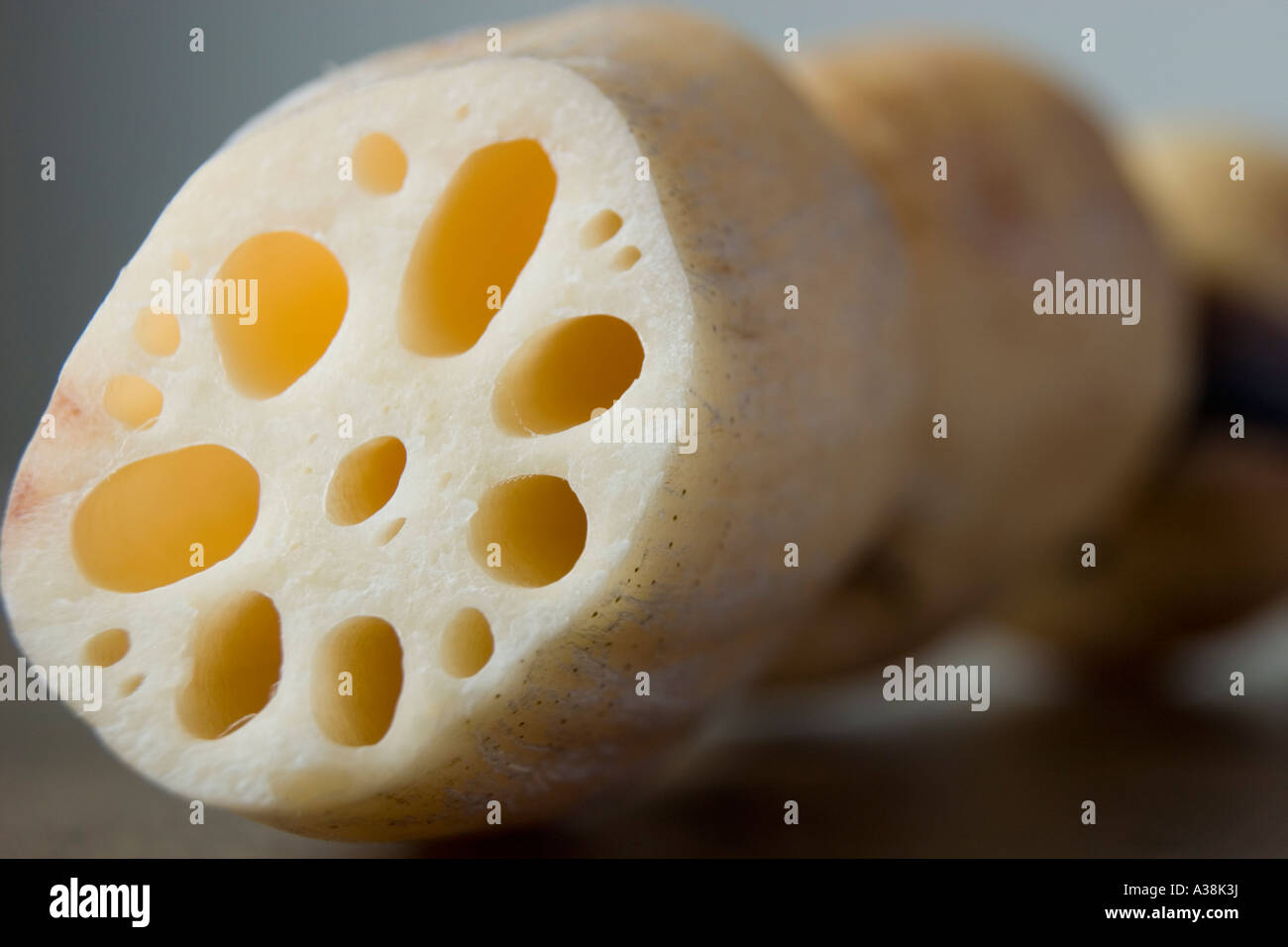 The Asian vegetable Lotus root Stock Photo - Alamy