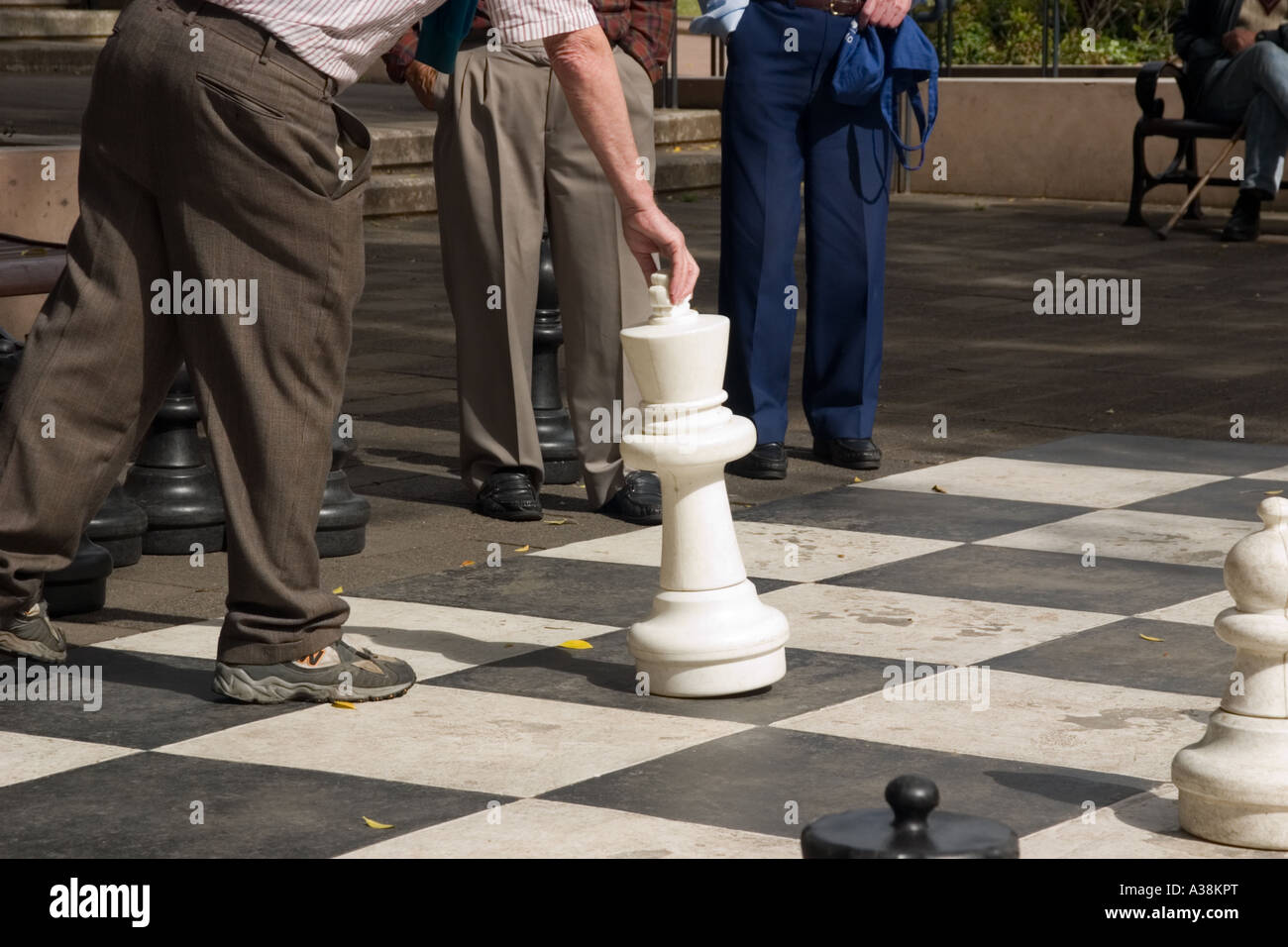 Giant chess pieces being moved in Hyde Park Sydney Stock Photo - Alamy