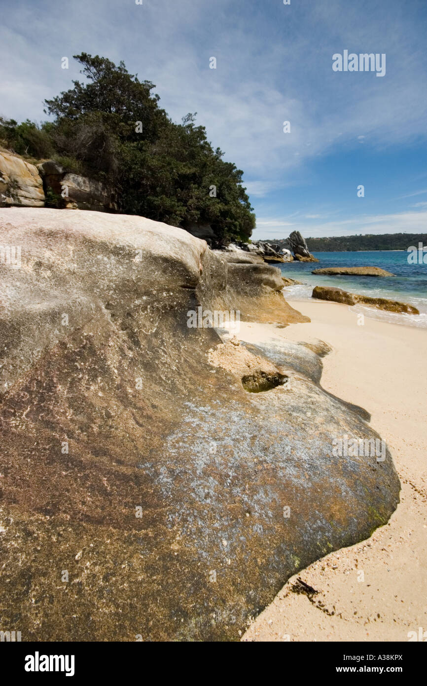 Neilson park sydney hi-res stock photography and images - Alamy