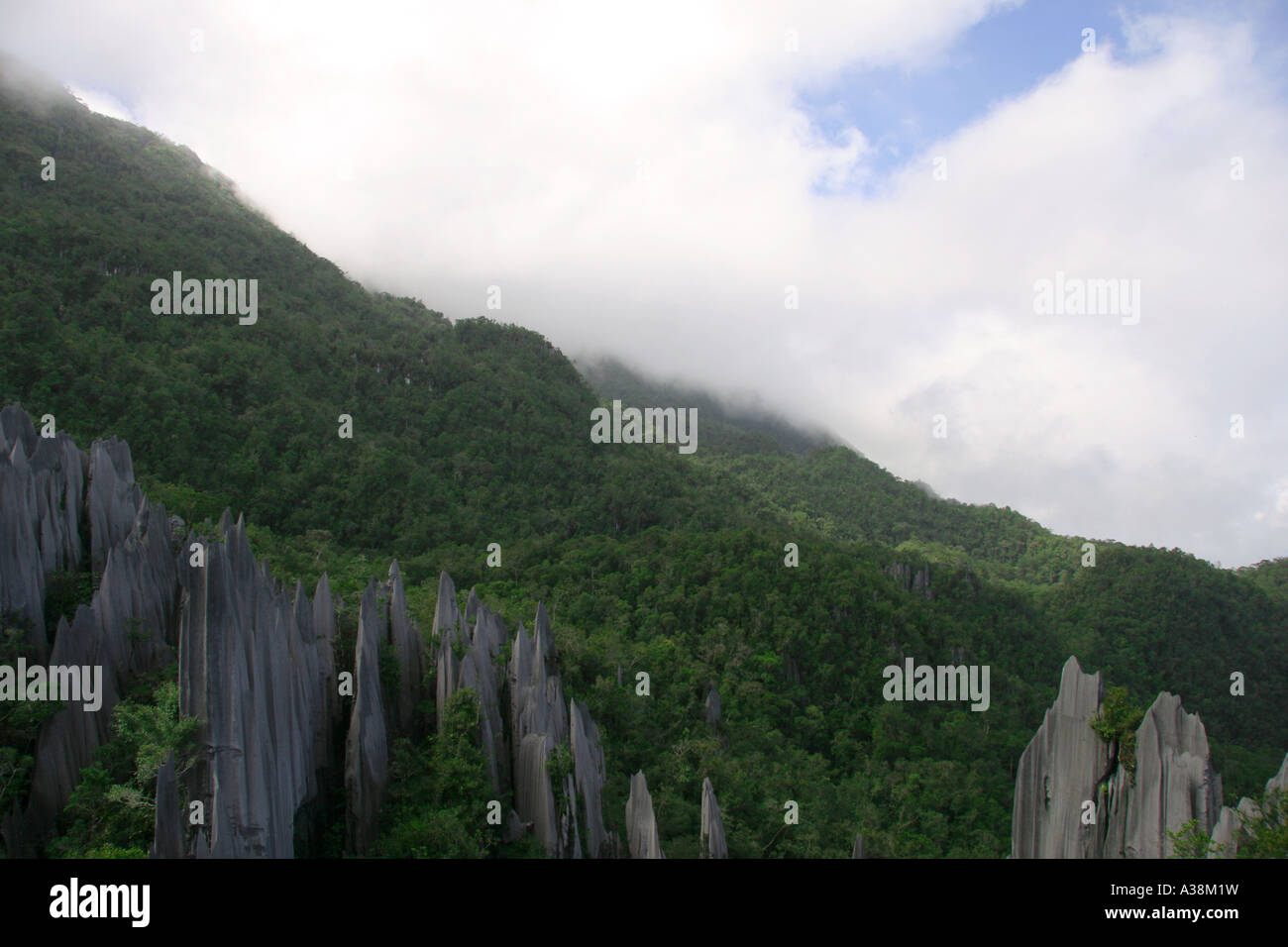 The Pinnacles stone forest on Gunung Api, in Gunung Mulu National Park ...