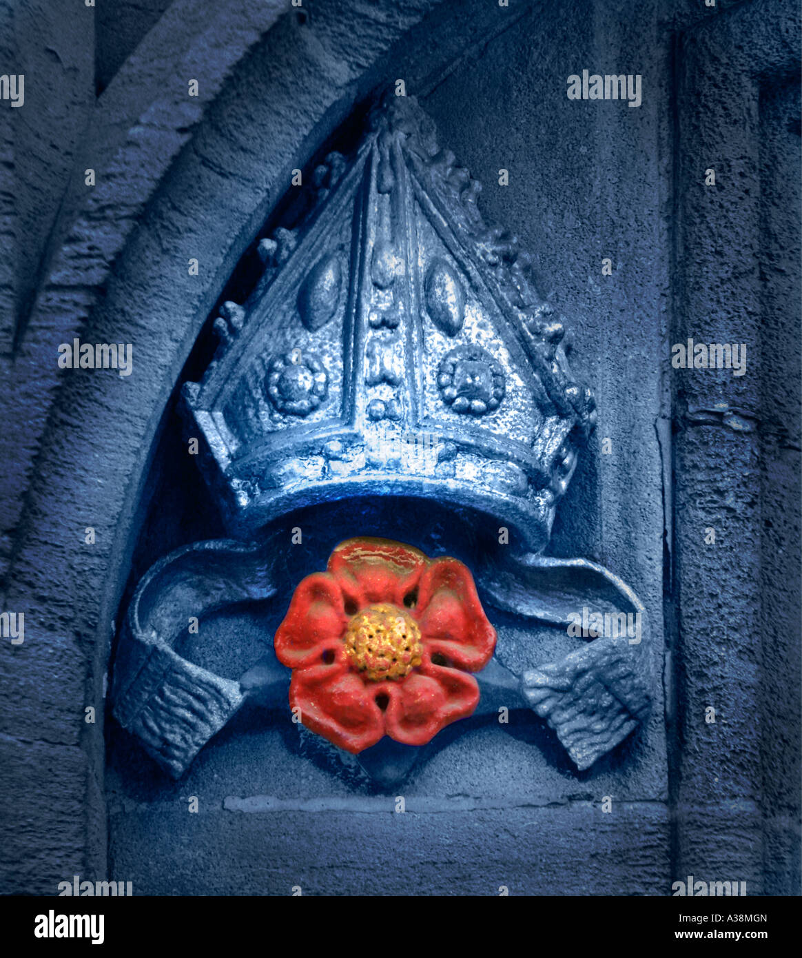 Tudor Rose Of England