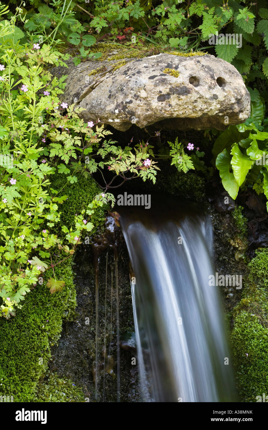 Crocodile head spring at Compton Abdale, The Cotswolds Stock Photo - Alamy
