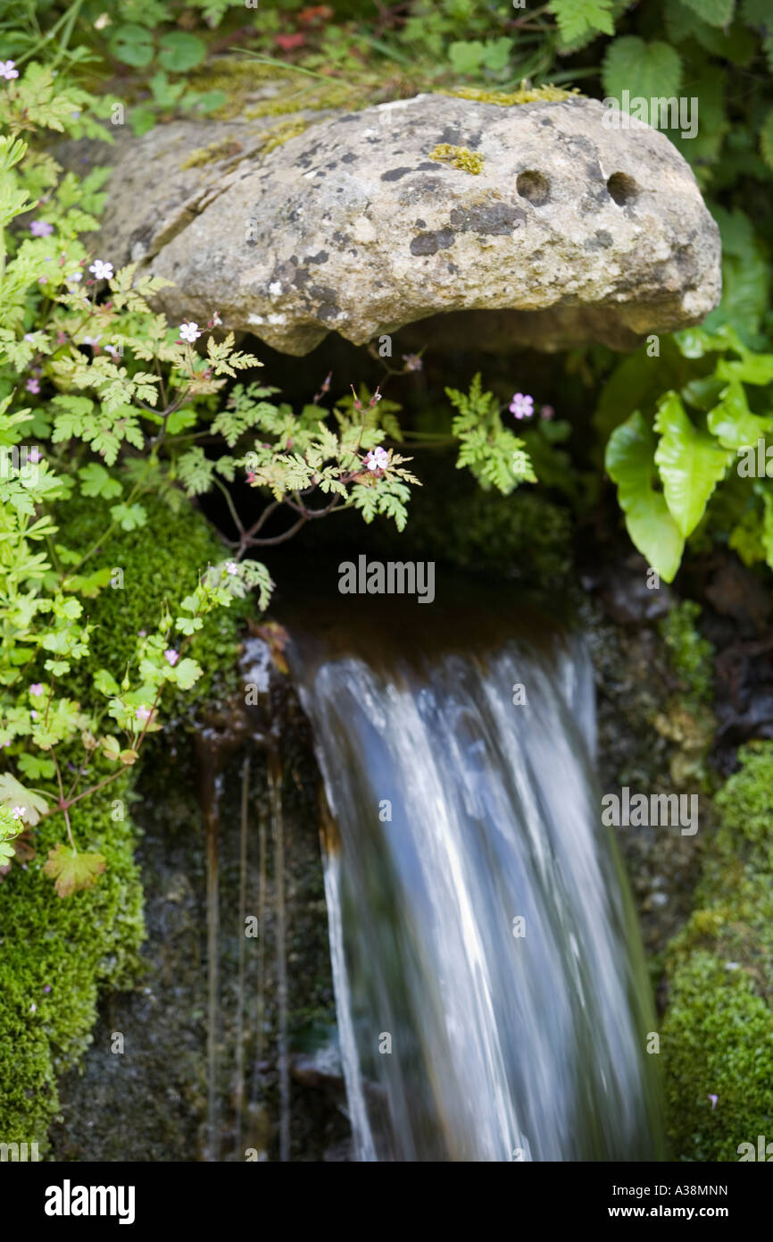 Crocodile head spring at Compton Abdale, The Cotswolds Stock Photo - Alamy