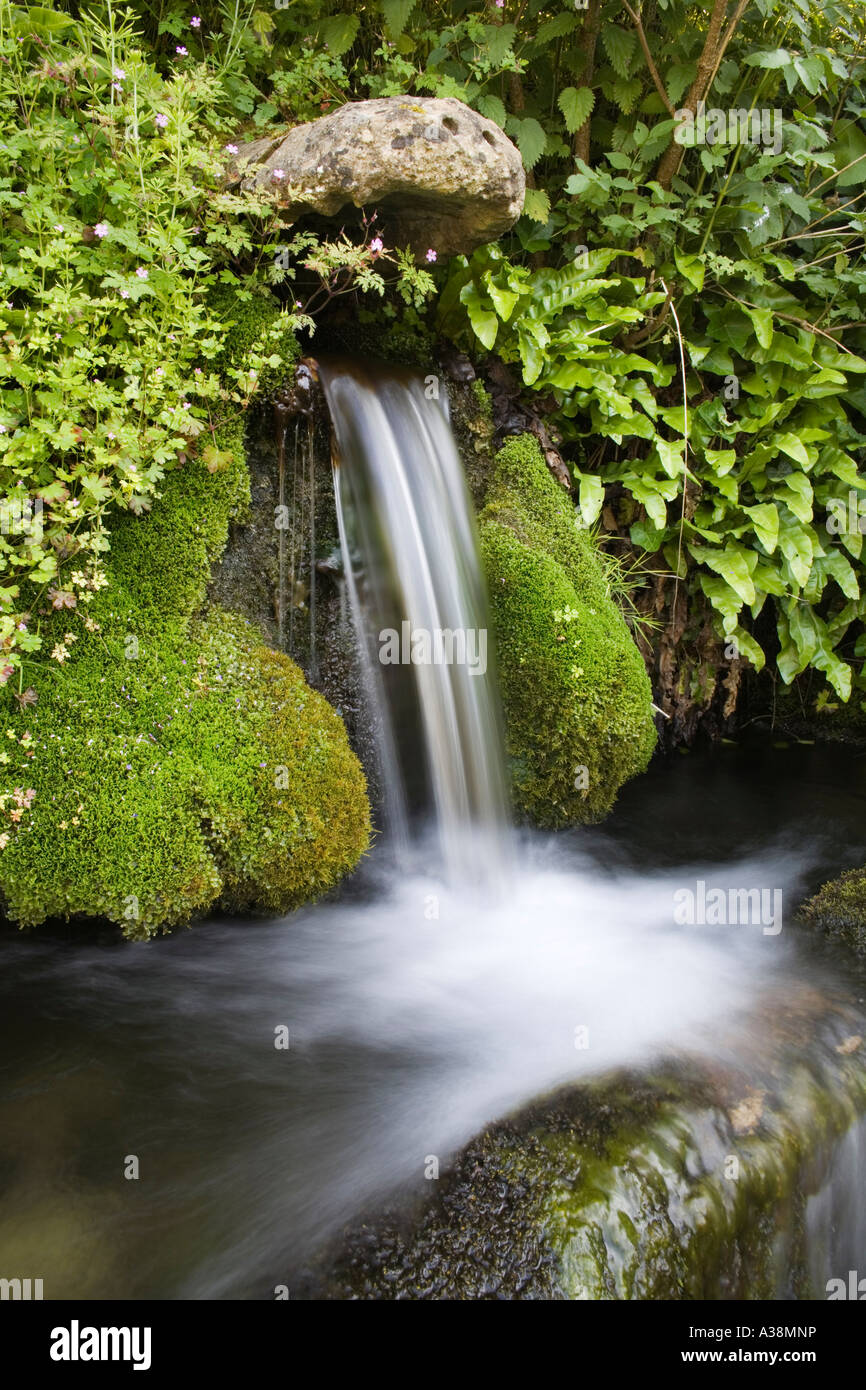 Crocodile head spring at Compton Abdale, The Cotswolds Stock Photo - Alamy