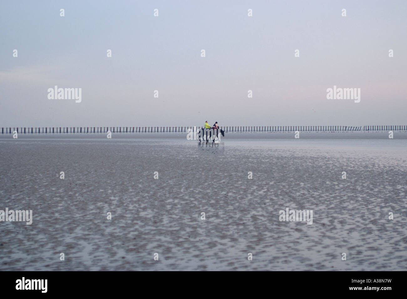 Two distant horses with riders trot along the sandbanks of the Thames ...
