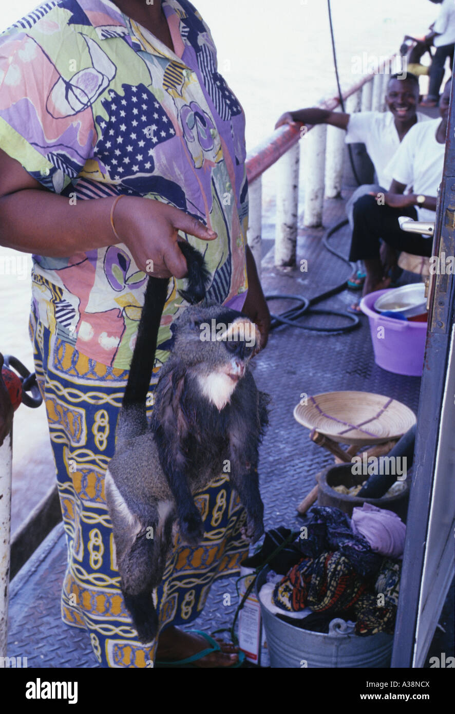 Dead monkey hi-res stock photography and images - Alamy