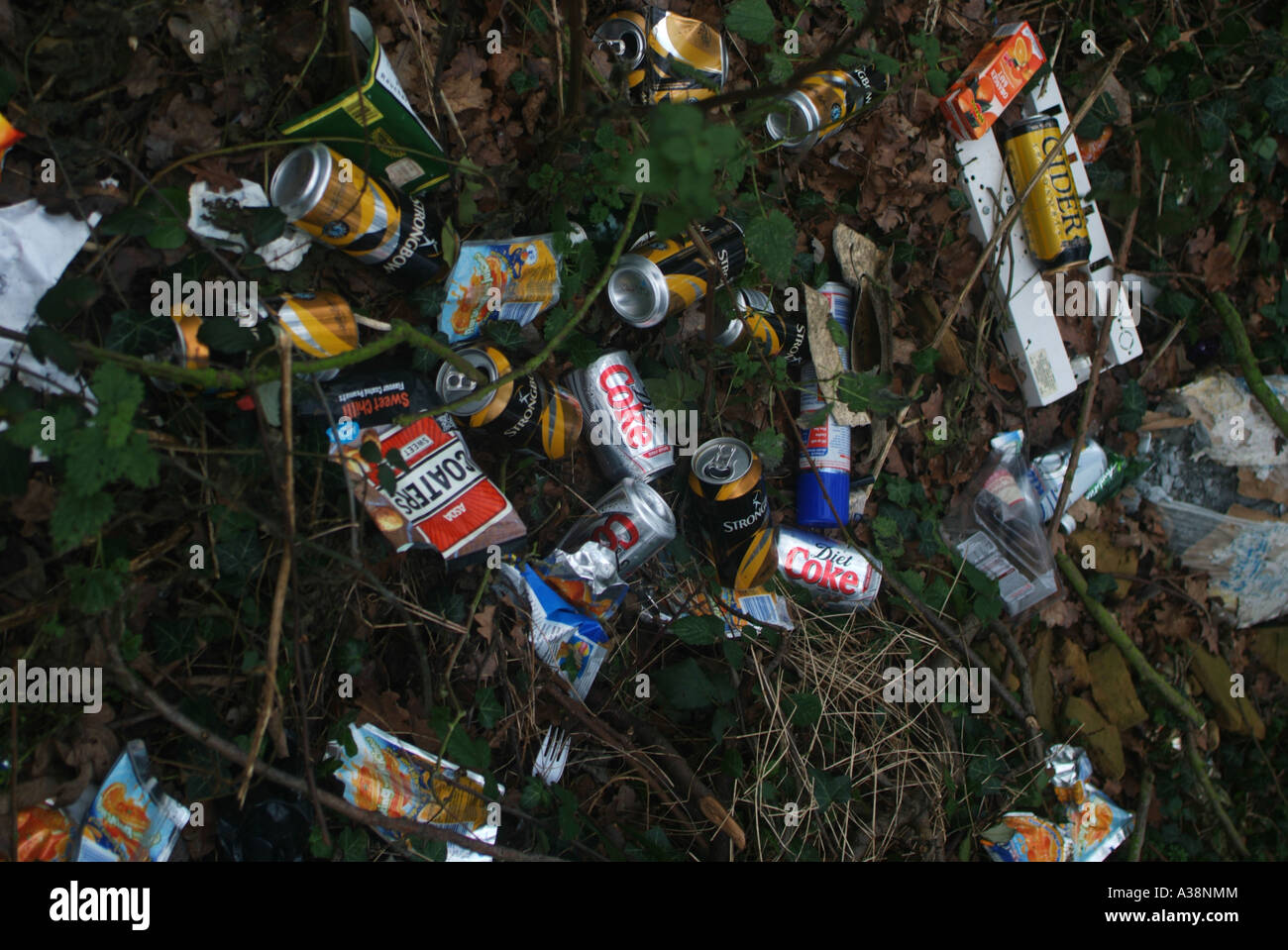 Empty soft drinks and alcohol cans litter the ground. 514229 Stock ...