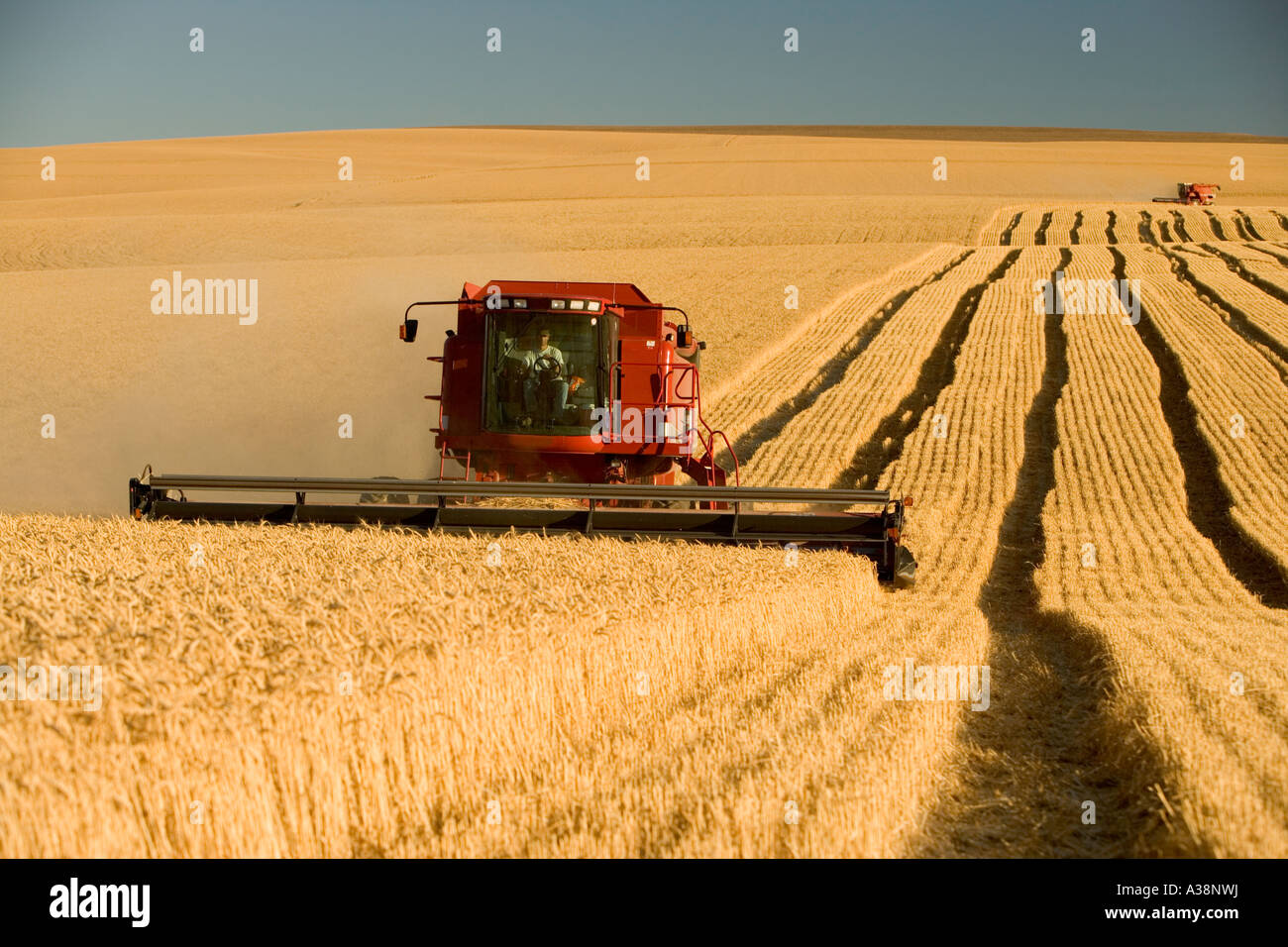 Combine harvesting oregon hi-res stock photography and images - Alamy