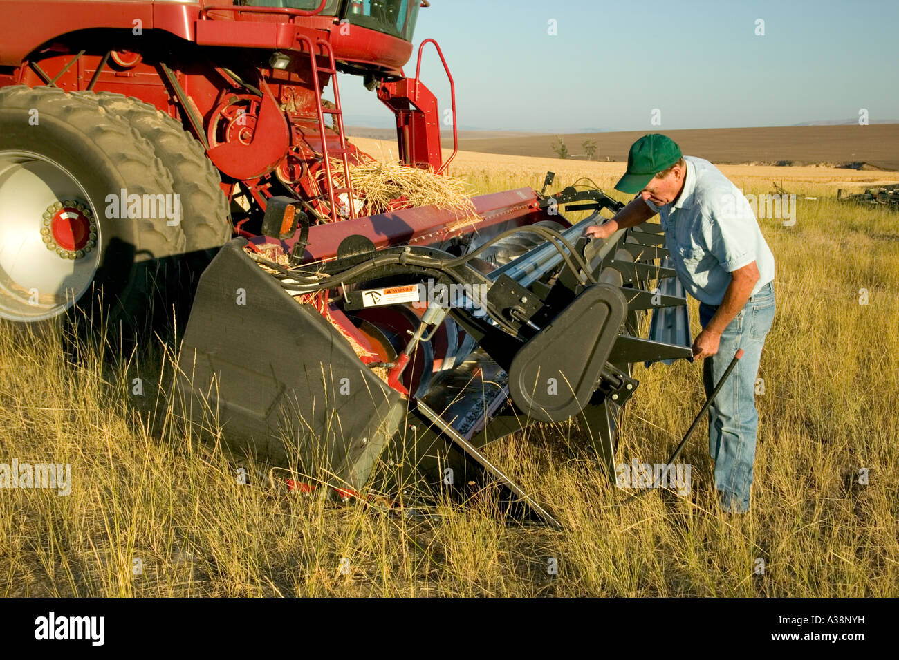 Wheat harvest, farmer inspecting header on combine Stock Photo - Alamy