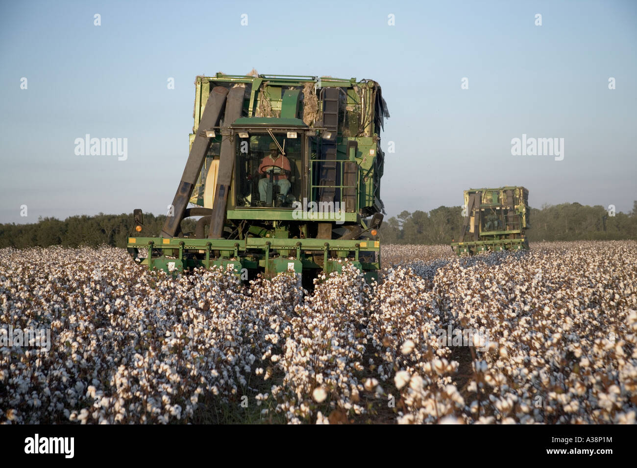 Cotton field pickers hi-res stock photography and images - Alamy