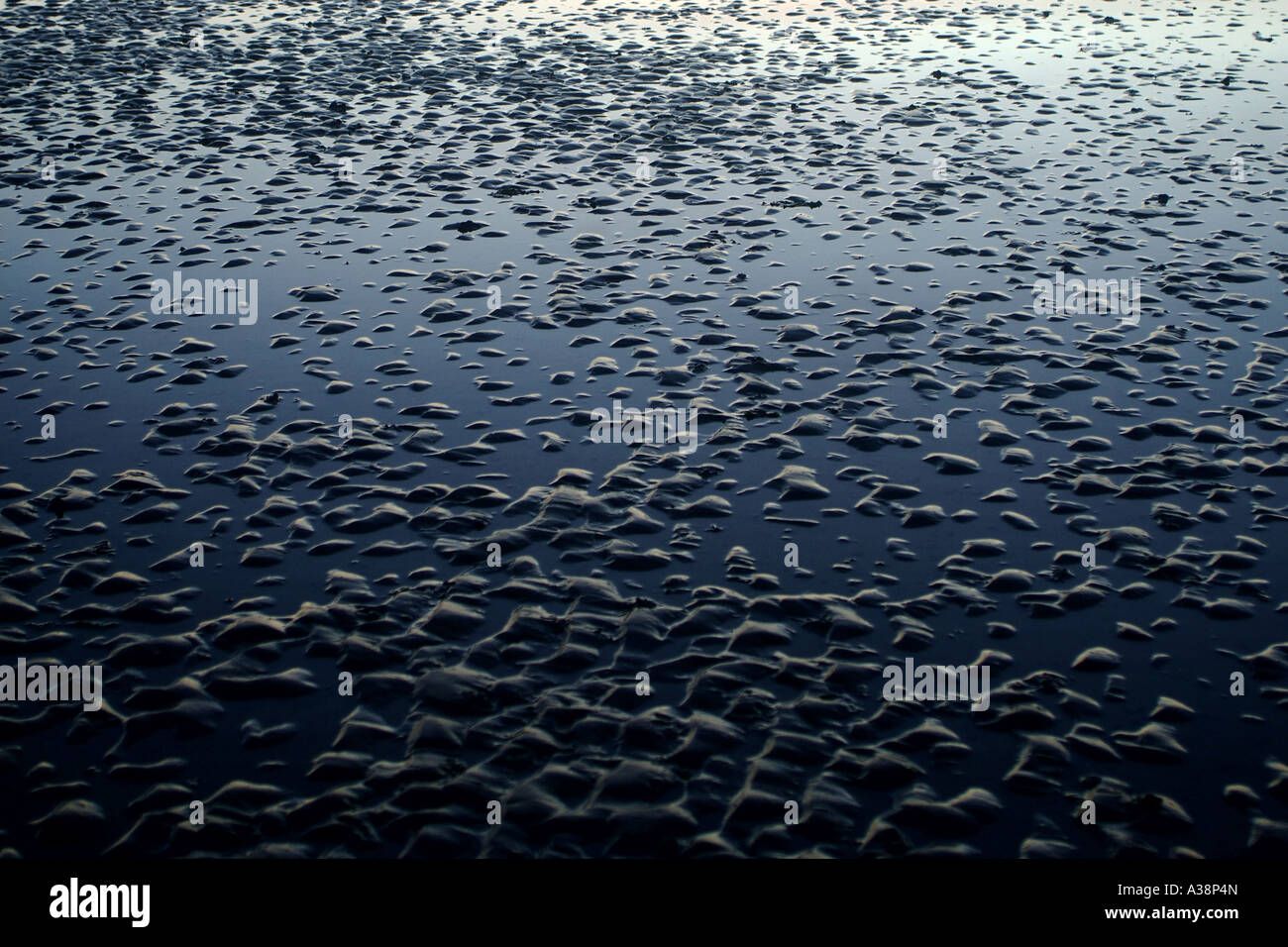 Ripples on a sand bank after the tide has gone out Stock Photo - Alamy