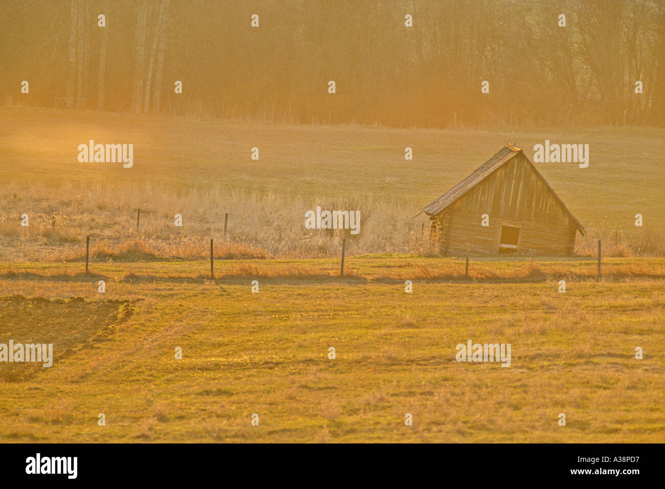 Backlit Farm scene Stock Photo - Alamy