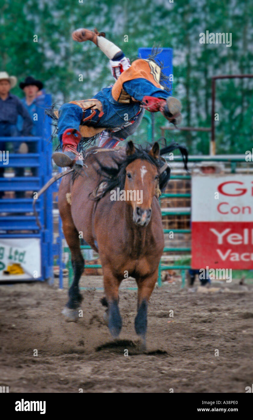 Bareback horse riding hi-res stock photography and images - Alamy