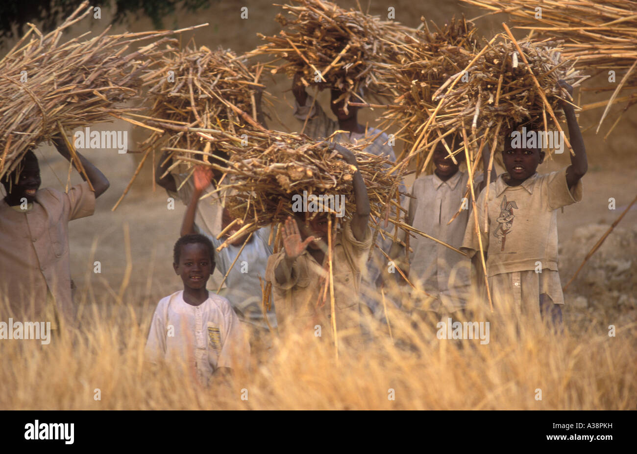 Nigeria Workers Stock Photos & Nigeria Workers Stock Images - Alamy
