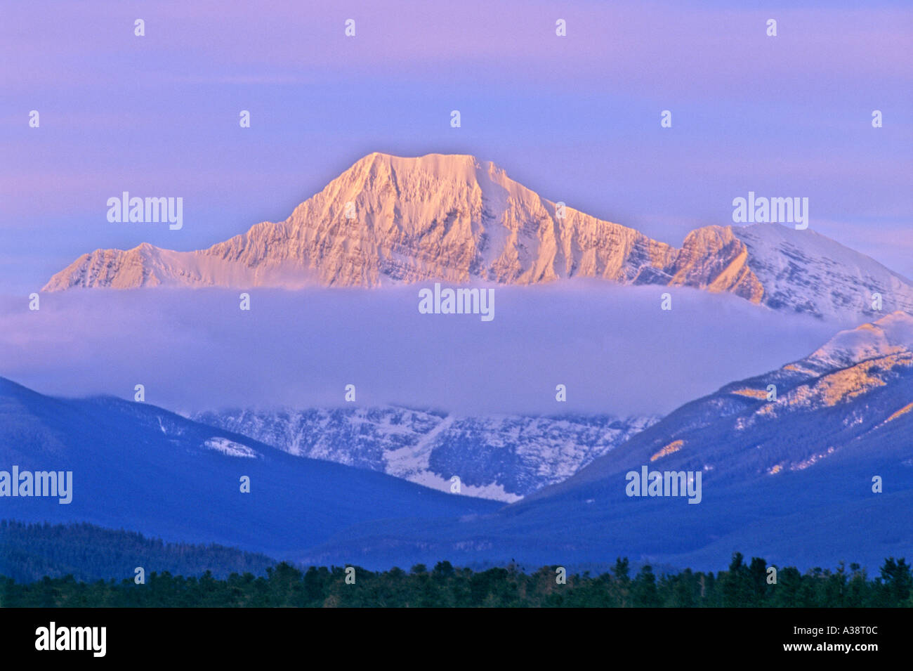 Mount Edith Cavell Stock Photo - Alamy