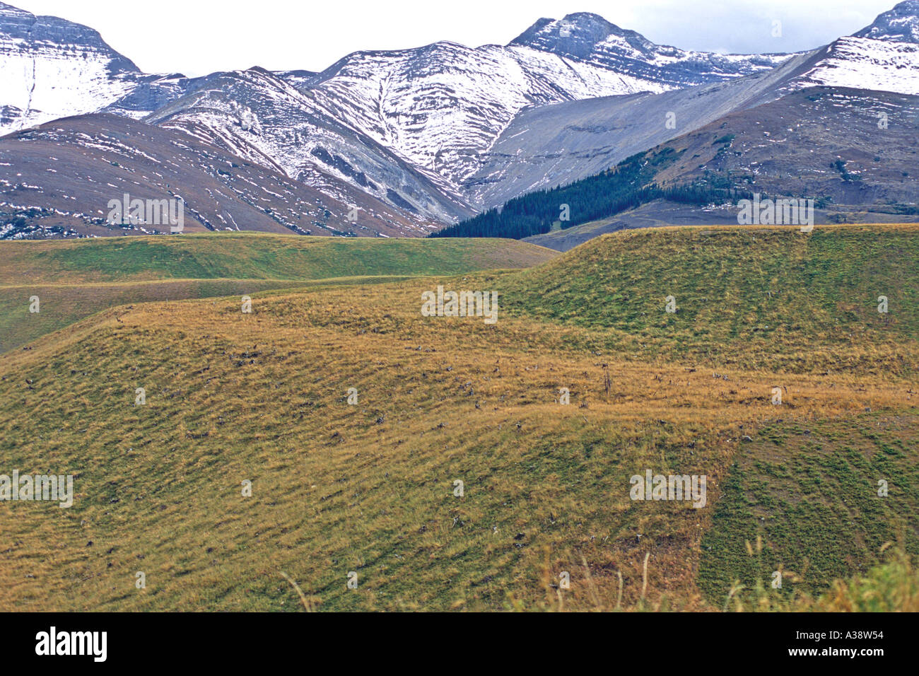Mine reclaimed by nature hi-res stock photography and images - Alamy