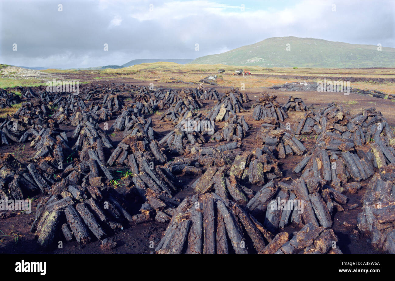 Peat turf cut and stacked to dry for house fire fuel in the Connemara ...