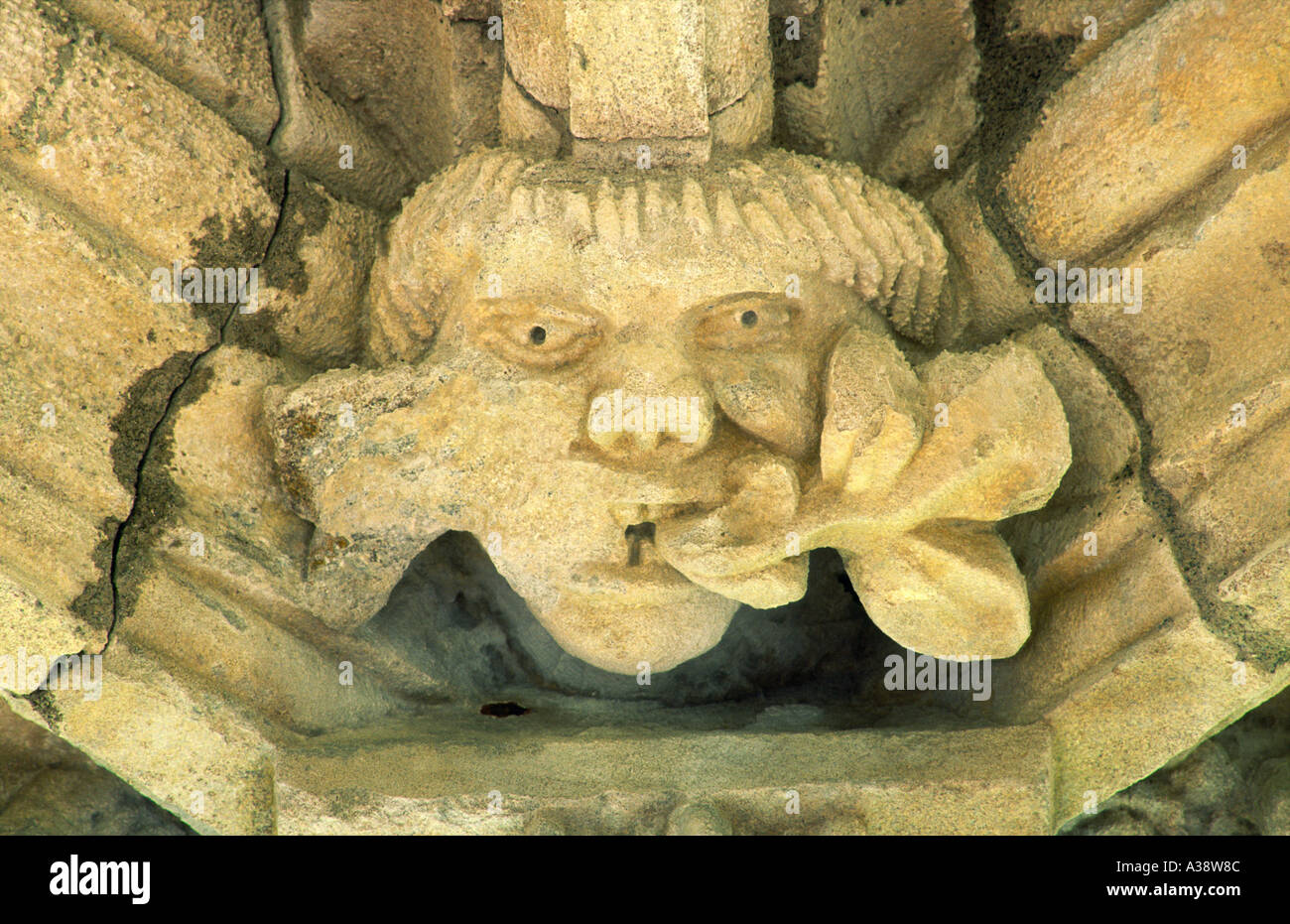 Green man carving hi-res stock photography and images - Alamy