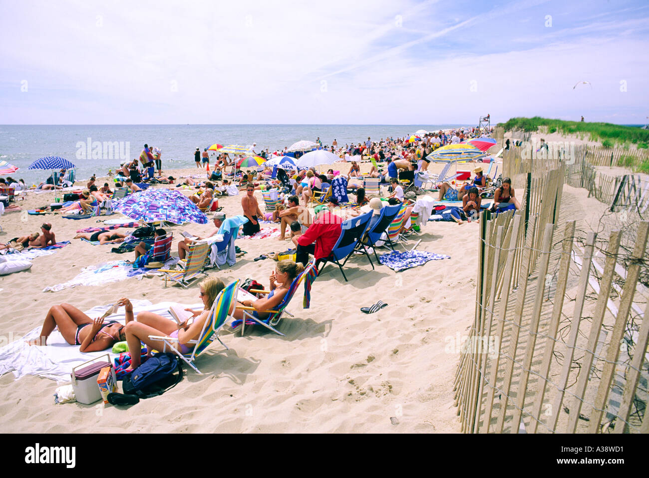 South Beach Cape Cod