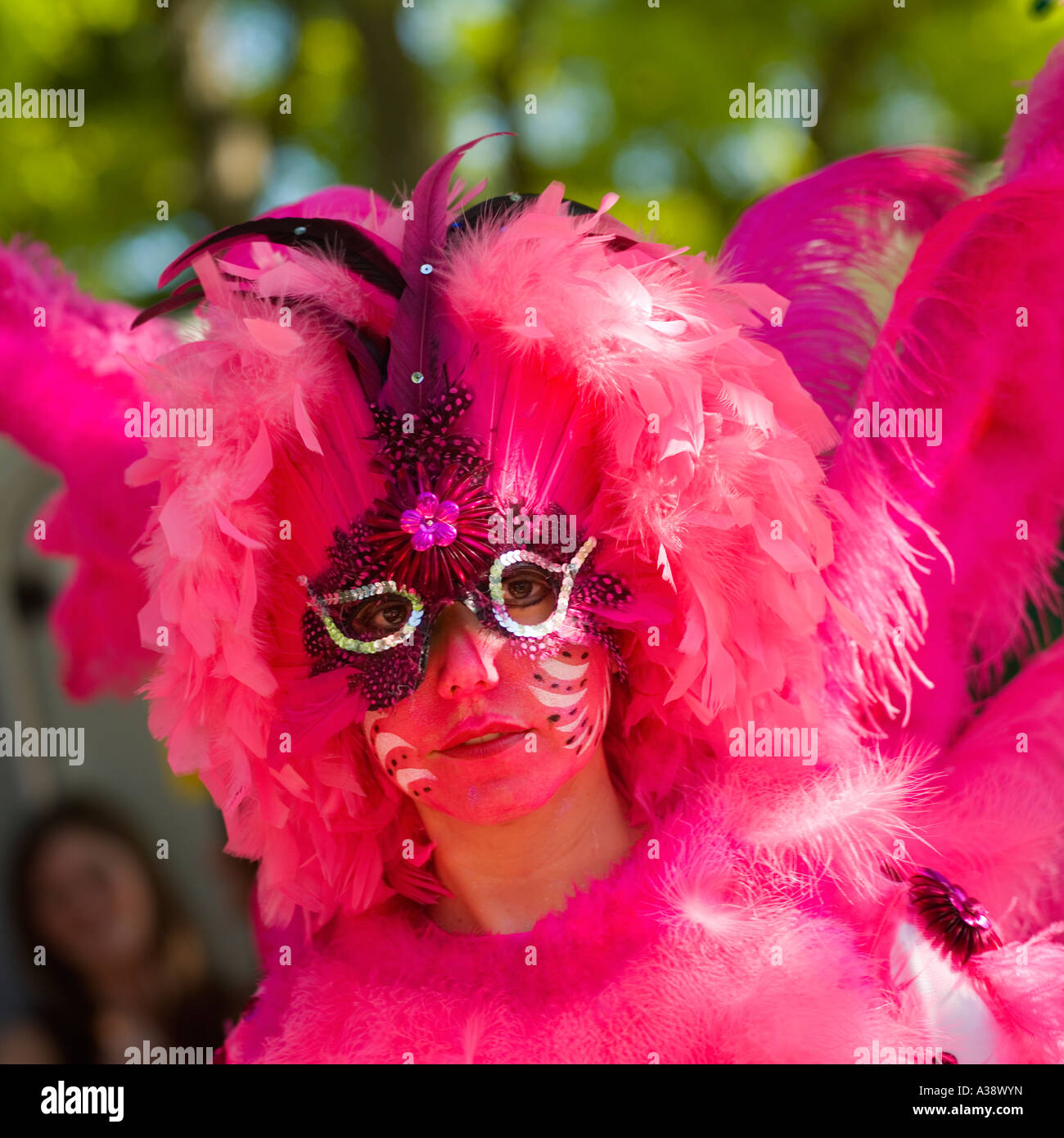 A woman dressed up as an exotic pink bird for a street carnival South ...