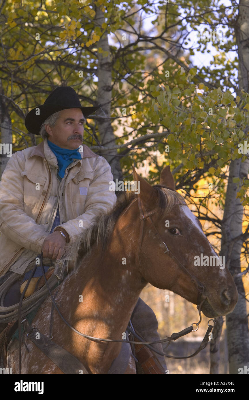 Cowboy in saddle Stock Photo - Alamy