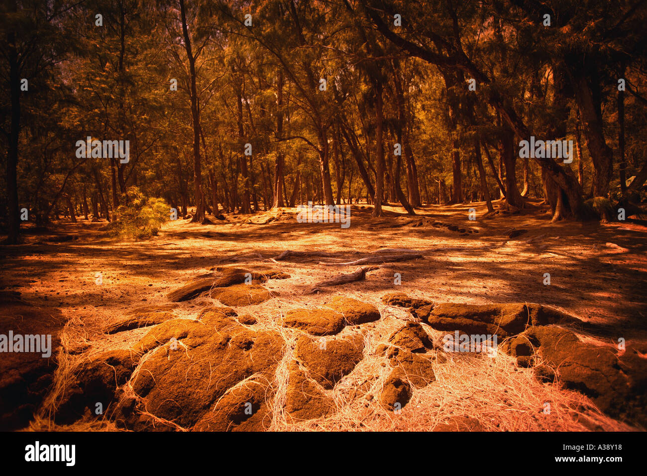 Darren brown hi-res stock photography and images - Alamy