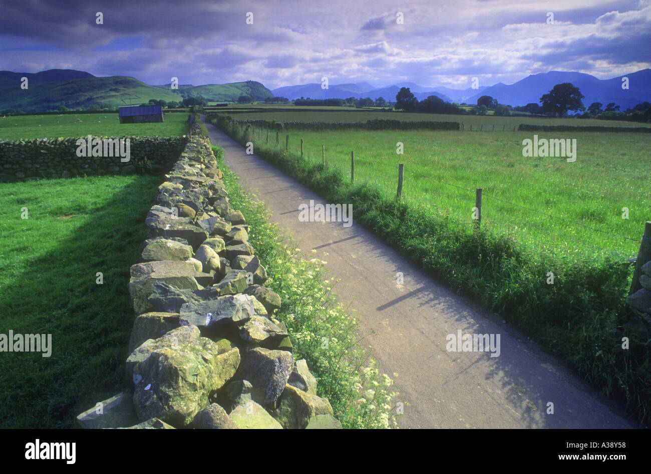 Small country road, England Stock Photo - Alamy