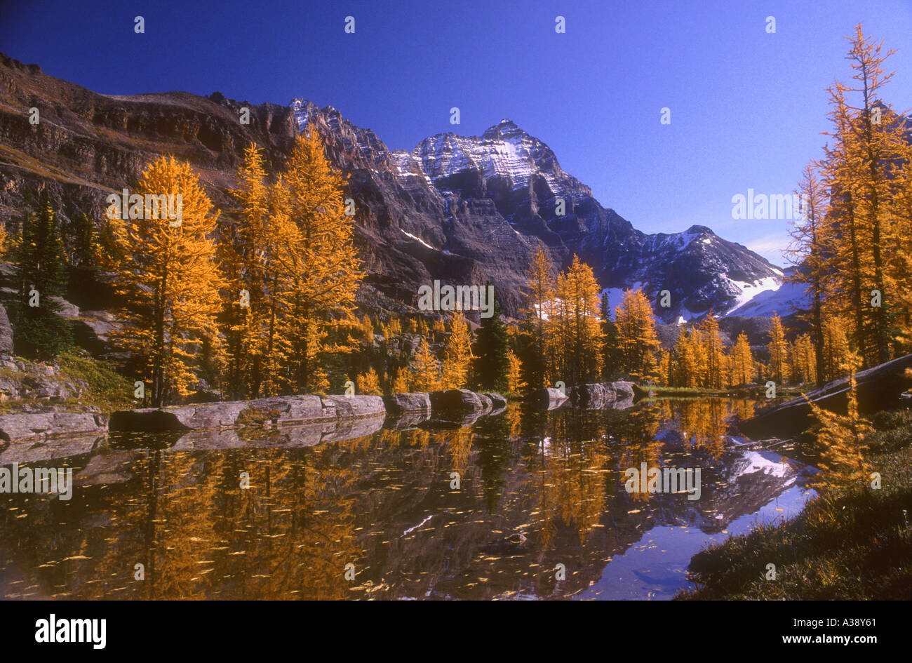 Breathtaking mountain scenery, Opabin Lake, Yoho National Park, British ...