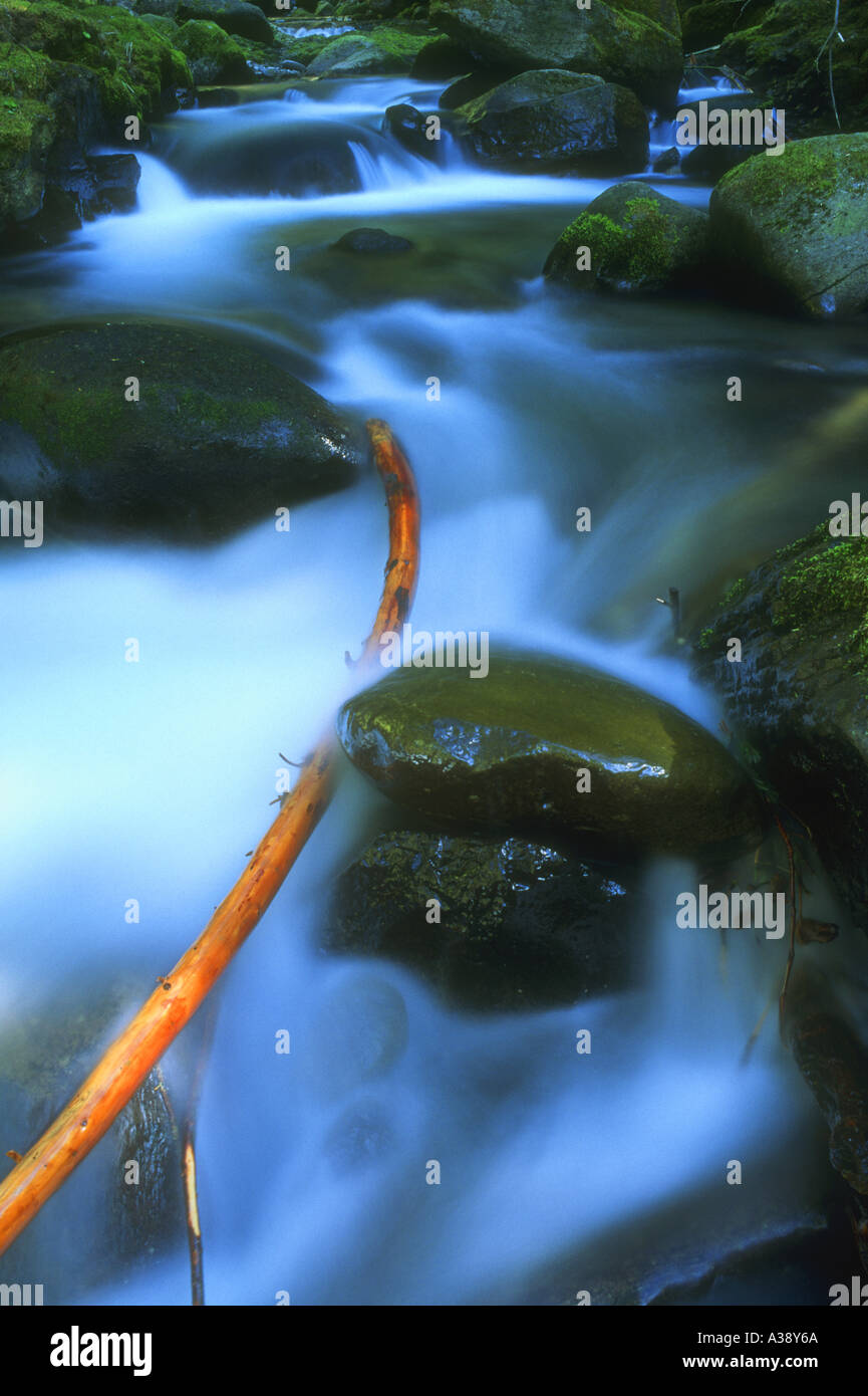 Flowing s design hi-res stock photography and images - Alamy