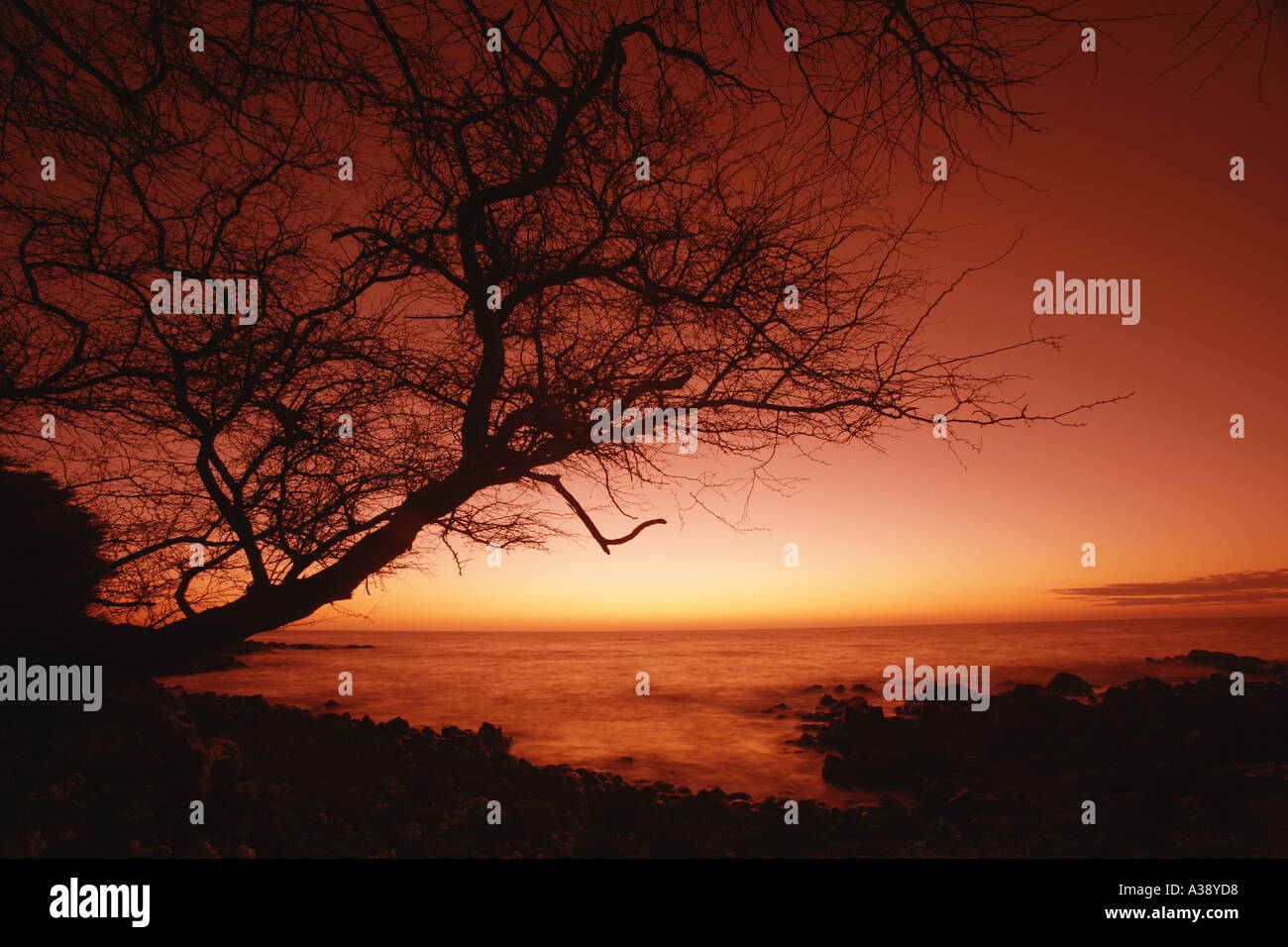 Rising sun design hi-res stock photography and images - Alamy