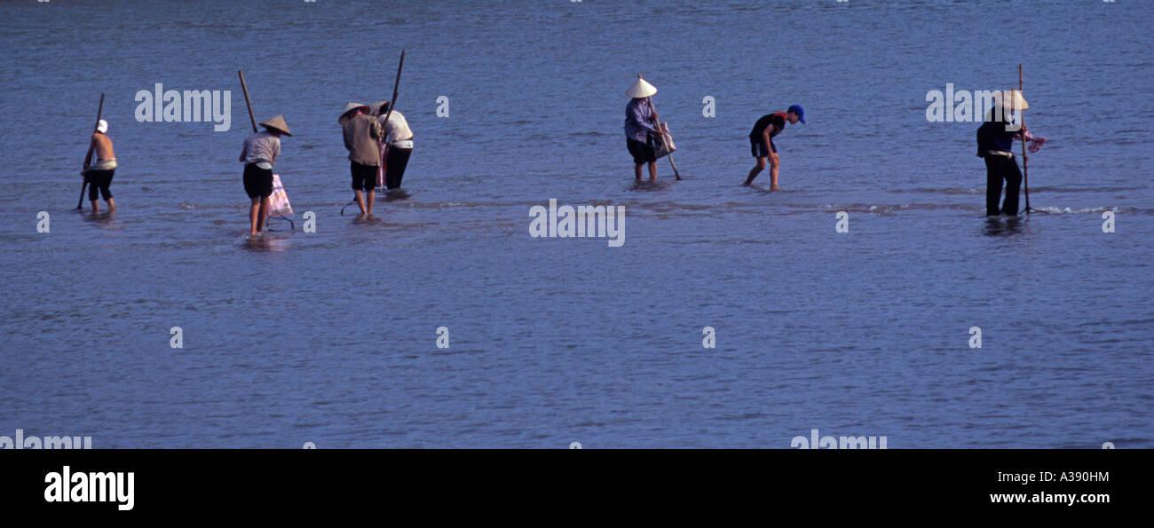 Cockle shell pickers Stock Photo - Alamy