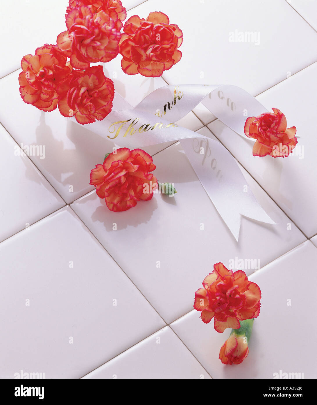 Carnation ribbon hi-res stock photography and images - Alamy