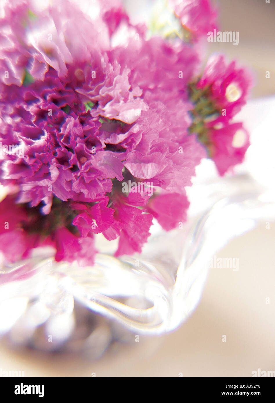 Fancy goods hi-res stock photography and images - Alamy