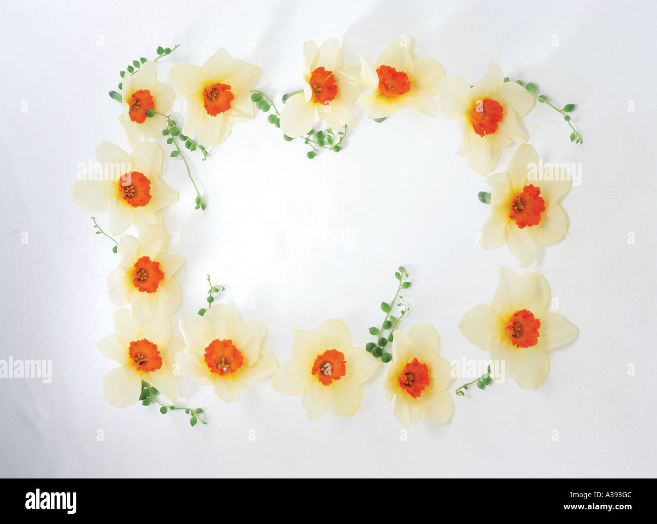 scene,scenery,background,still picture,still image Stock Photo - Alamy