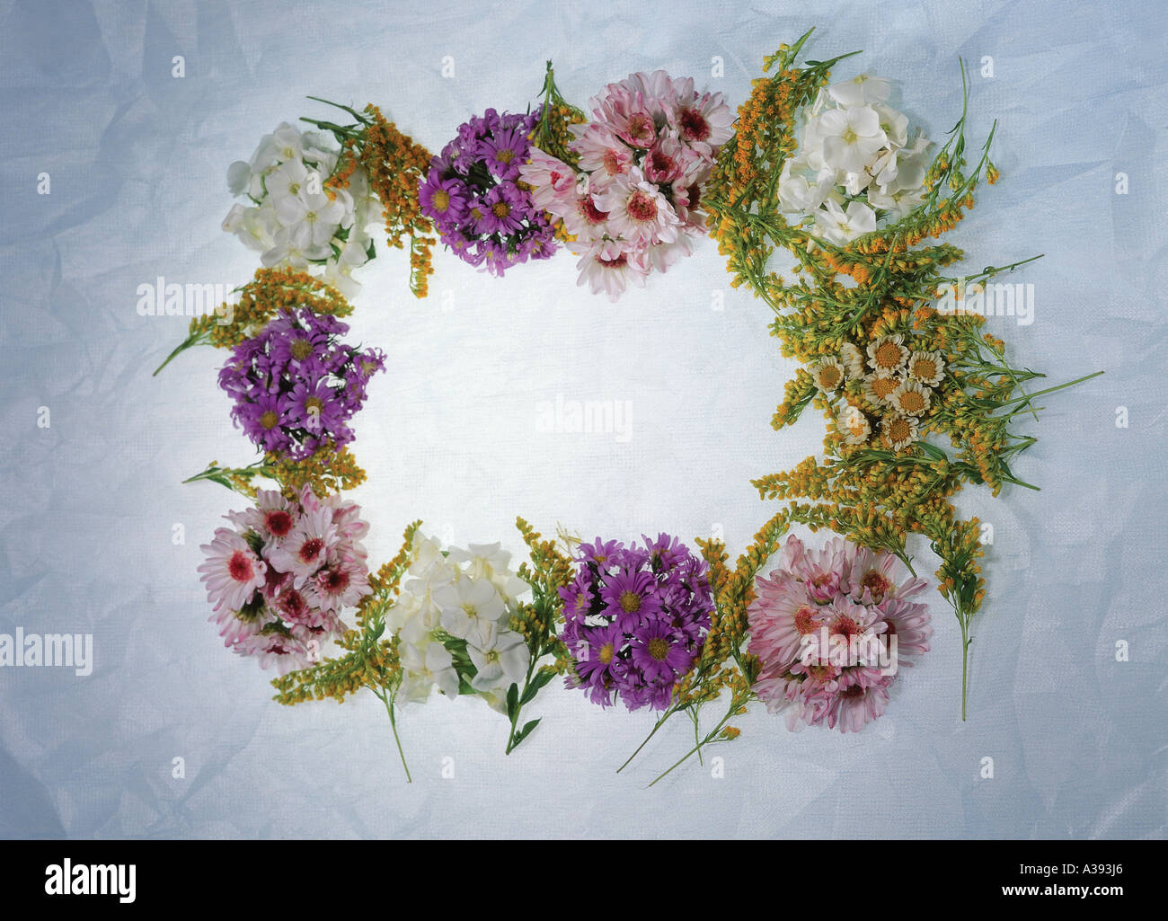 flower,still life,scene,scenery,background,fancy g Stock Photo - Alamy