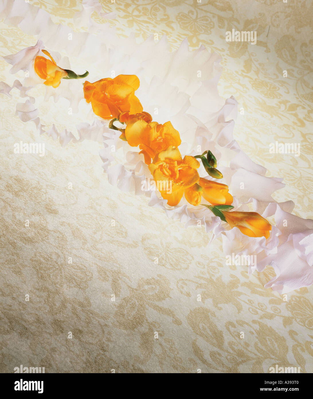 flower,still life,scene,scenery,background,fancy g Stock Photo - Alamy