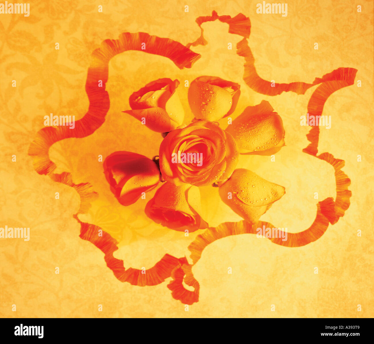 flower,still life,scene,scenery,background,fancy g Stock Photo - Alamy