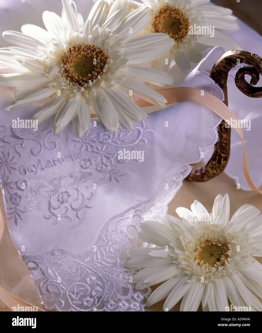 Leaf cloth hi-res stock photography and images - Alamy