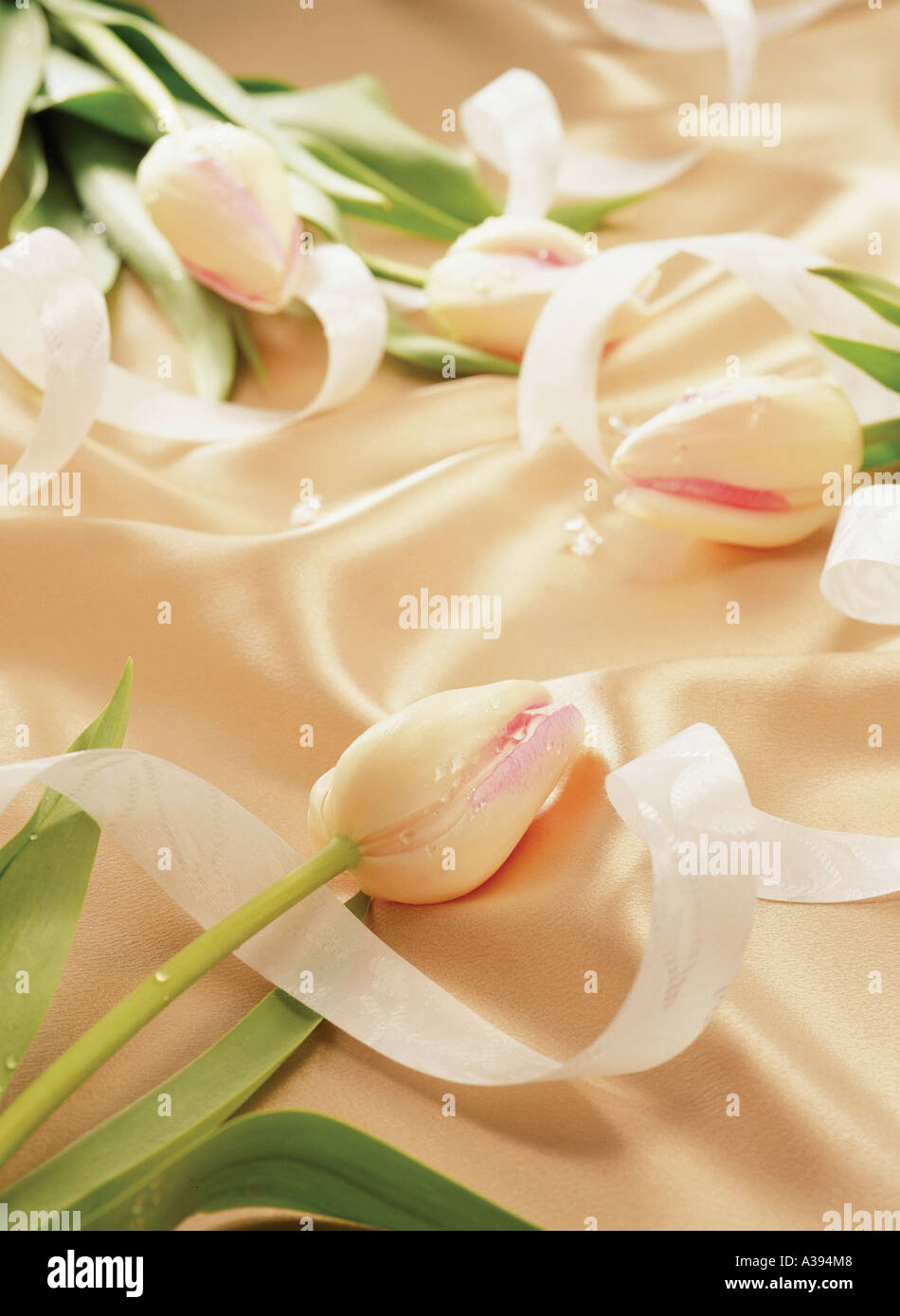 Fabric tulip hi-res stock photography and images - Alamy