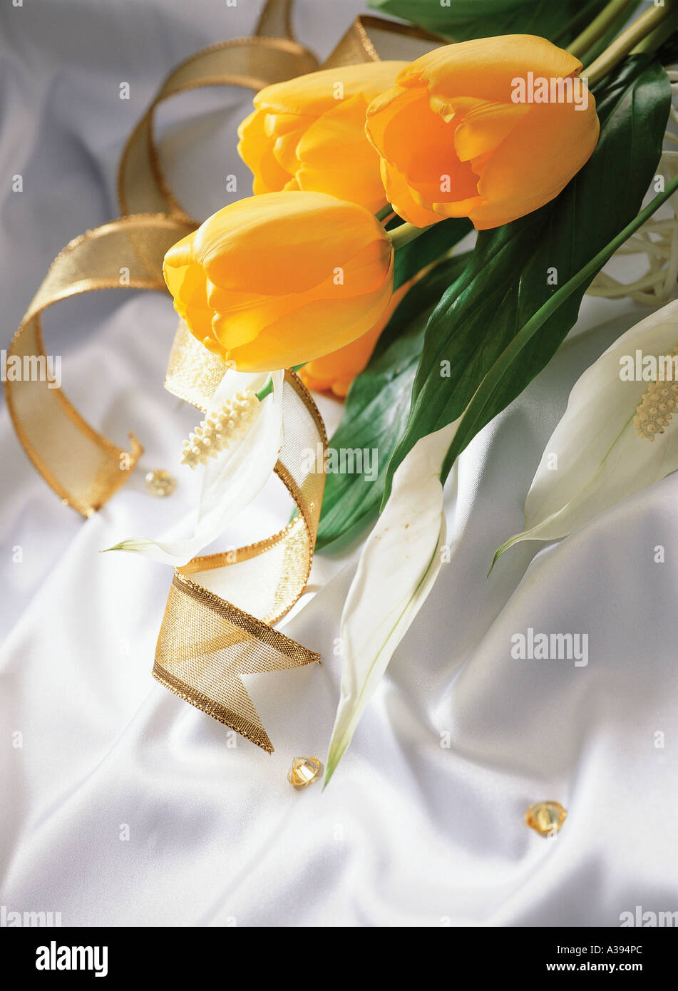 Fabric tulip hi-res stock photography and images - Alamy