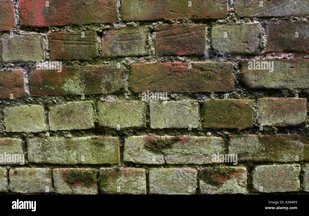 Brick wall crumbling moss hi-res stock photography and images - Alamy