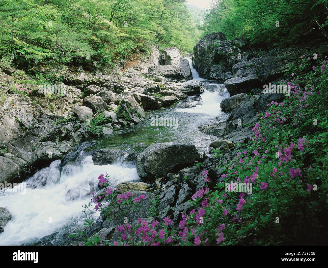 Chiri mountain hi-res stock photography and images - Alamy