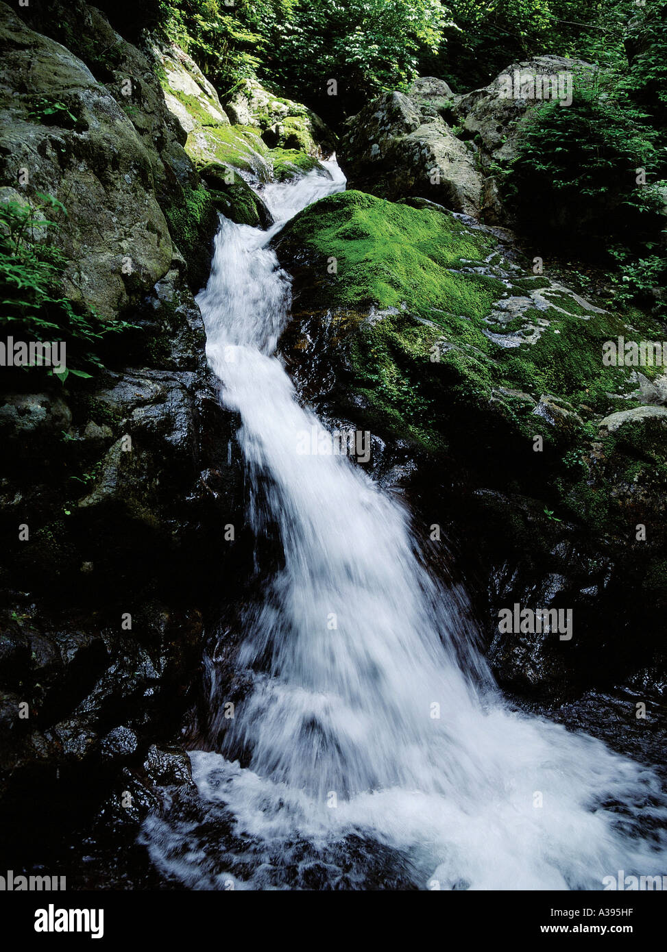 Chiri mountain hi-res stock photography and images - Alamy