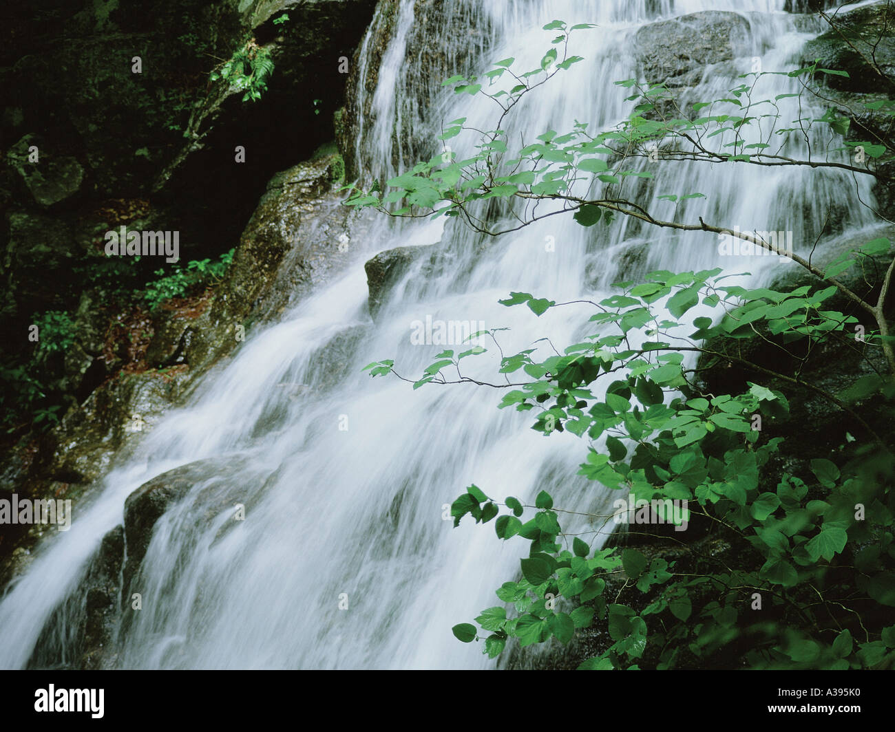 Chiri mountain hi-res stock photography and images - Alamy