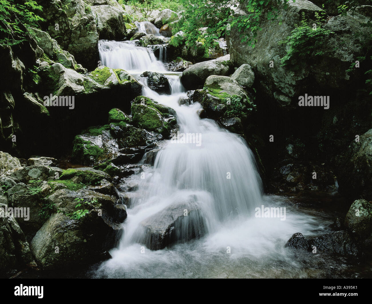 Chiri valley hi-res stock photography and images - Alamy