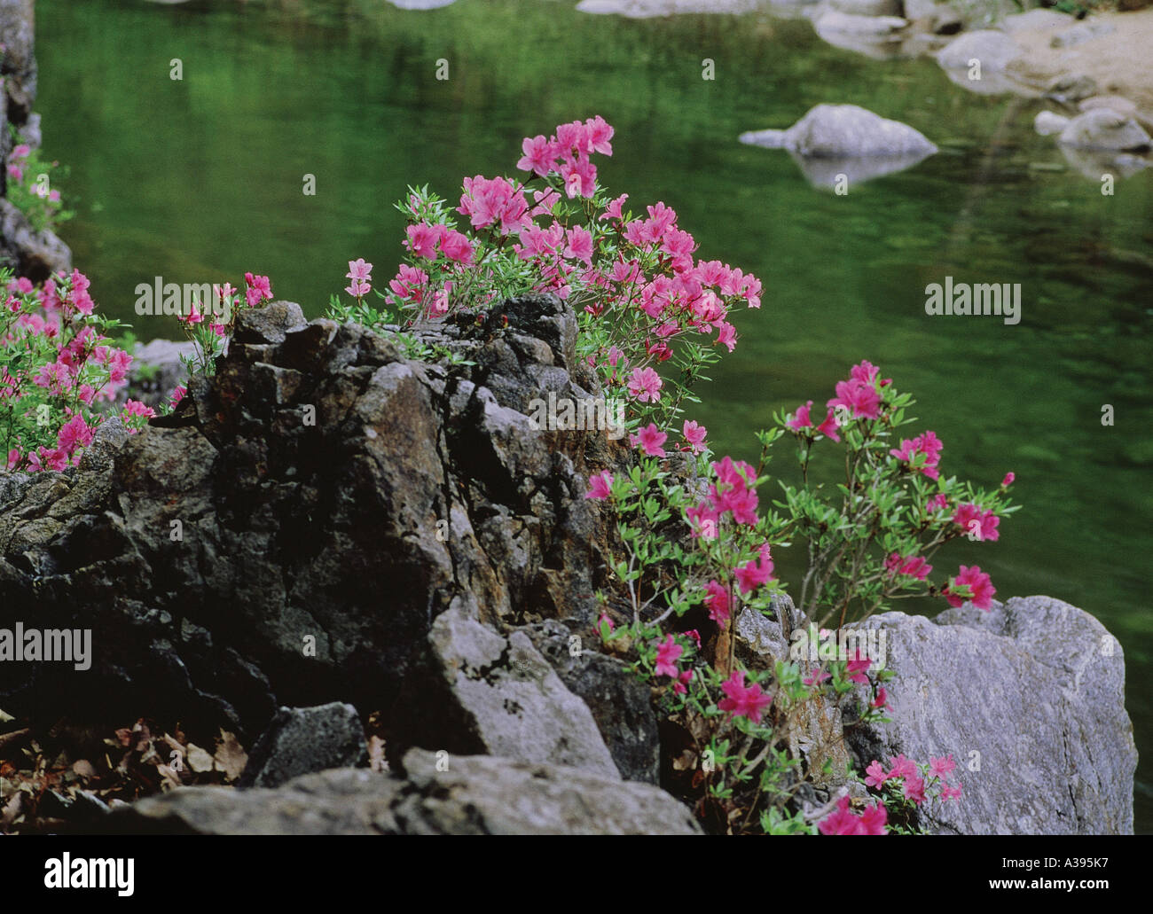 Chiri mountain hi-res stock photography and images - Alamy