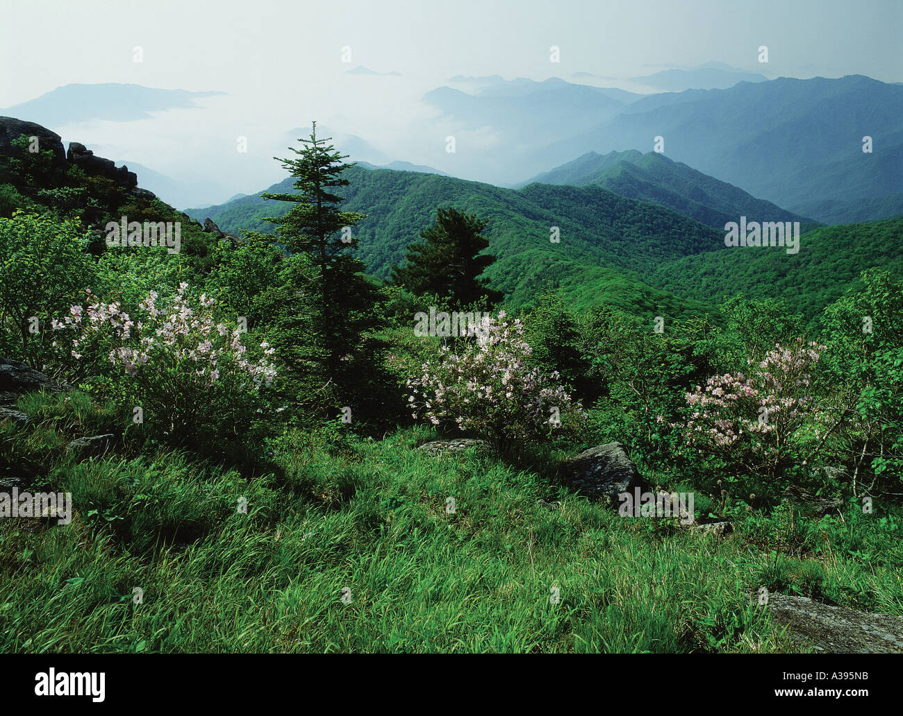 Chiri mountain hi-res stock photography and images - Alamy