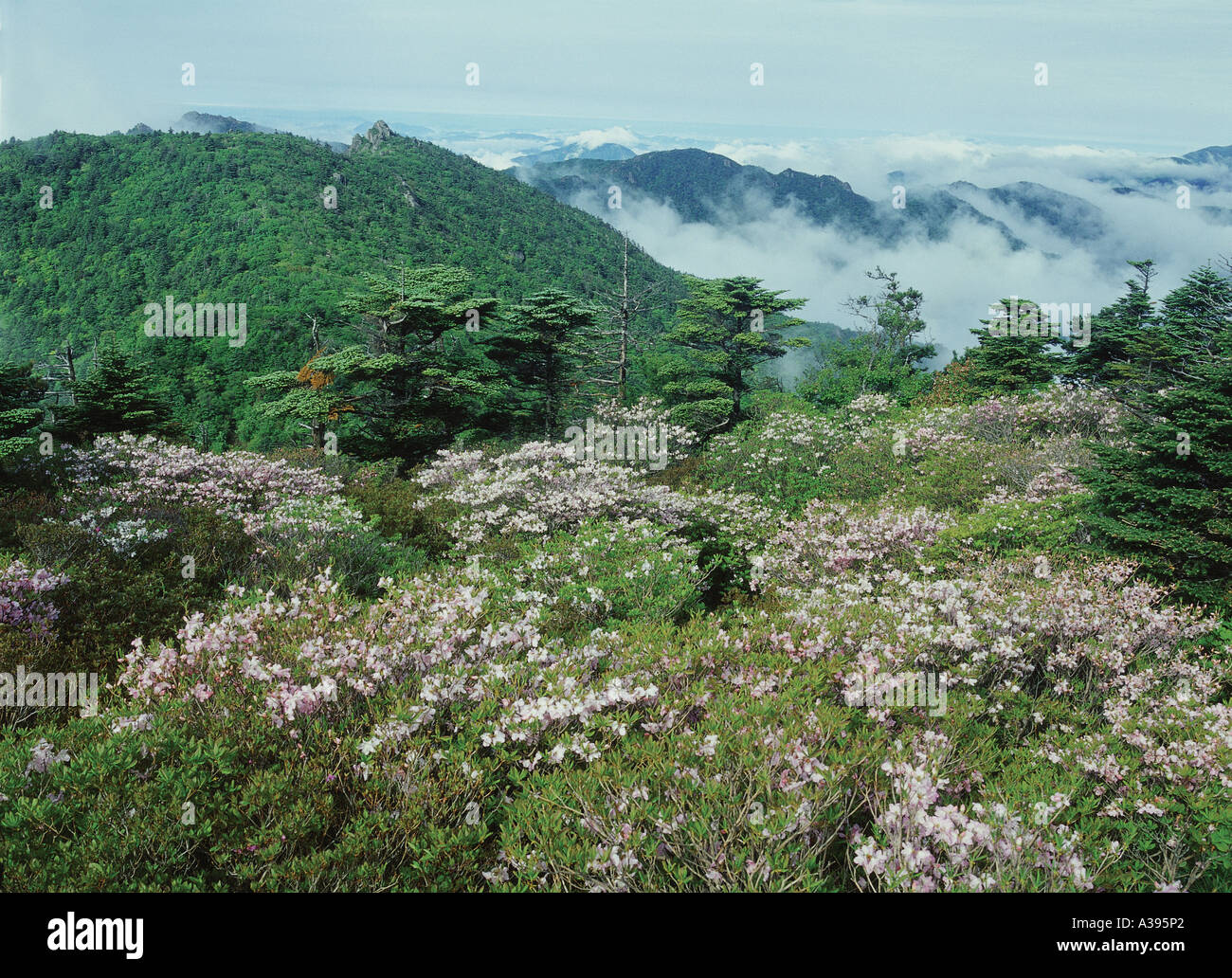 Chiri mountain hi-res stock photography and images - Alamy