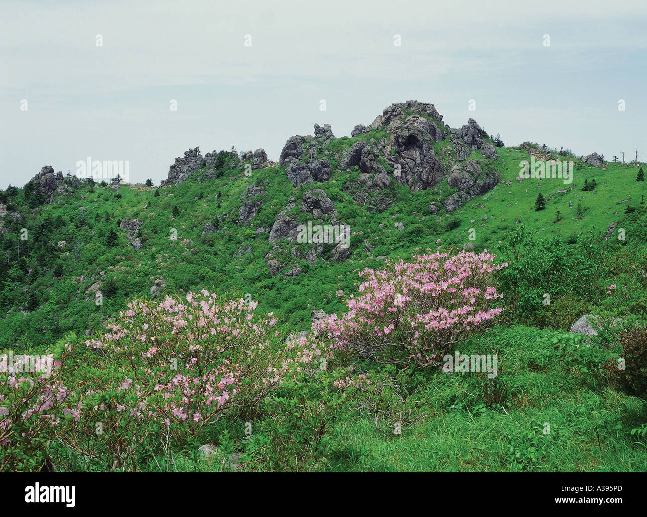 Chiri mountain hi-res stock photography and images - Alamy